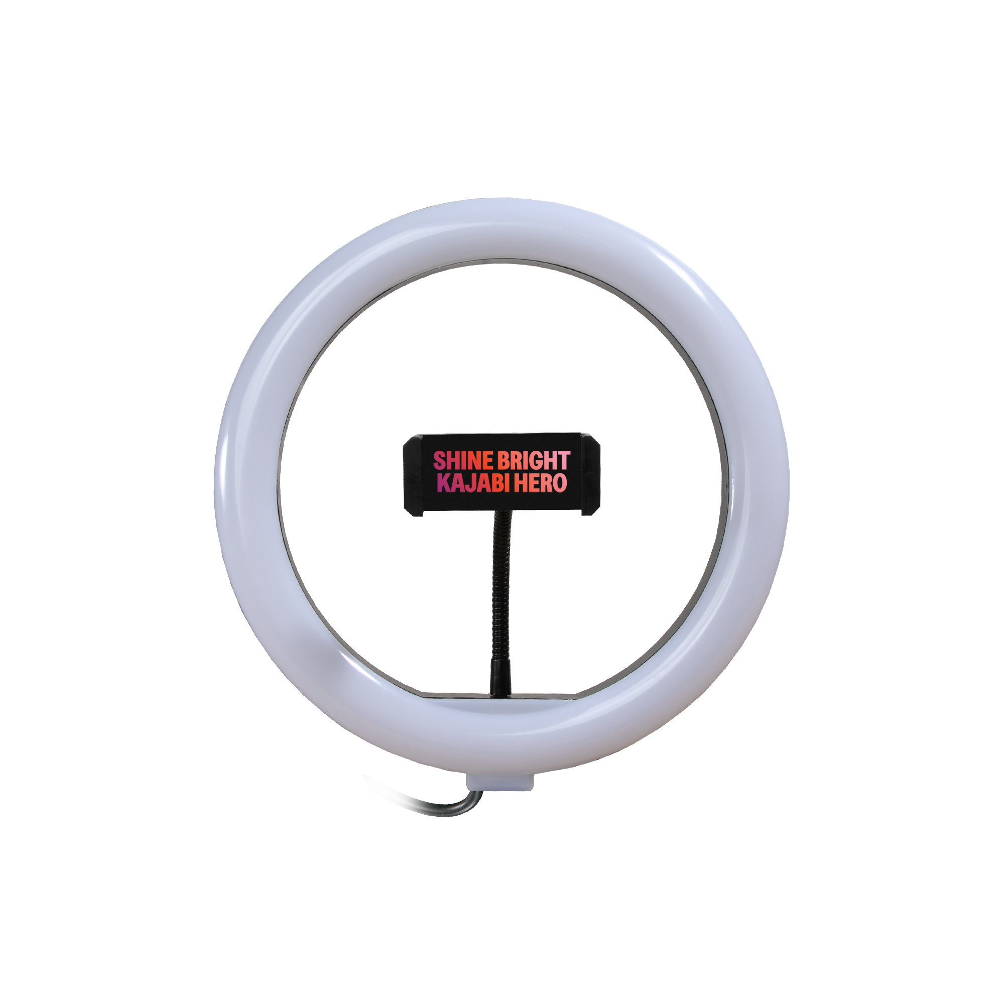 Hero Selfie Light - 10k Milestone – Kajabi Hero Store